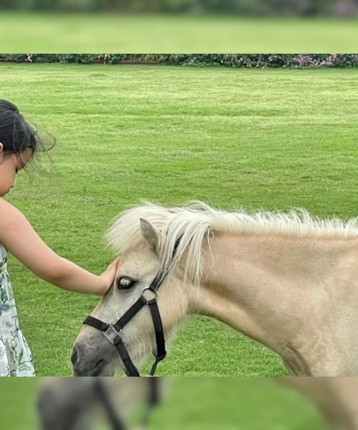 Beyond the Boundary: The Off-Field Lives of Indian Cricketers with ...